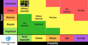 Black Swan Risk Matrix 3 • Prepare With Foresight